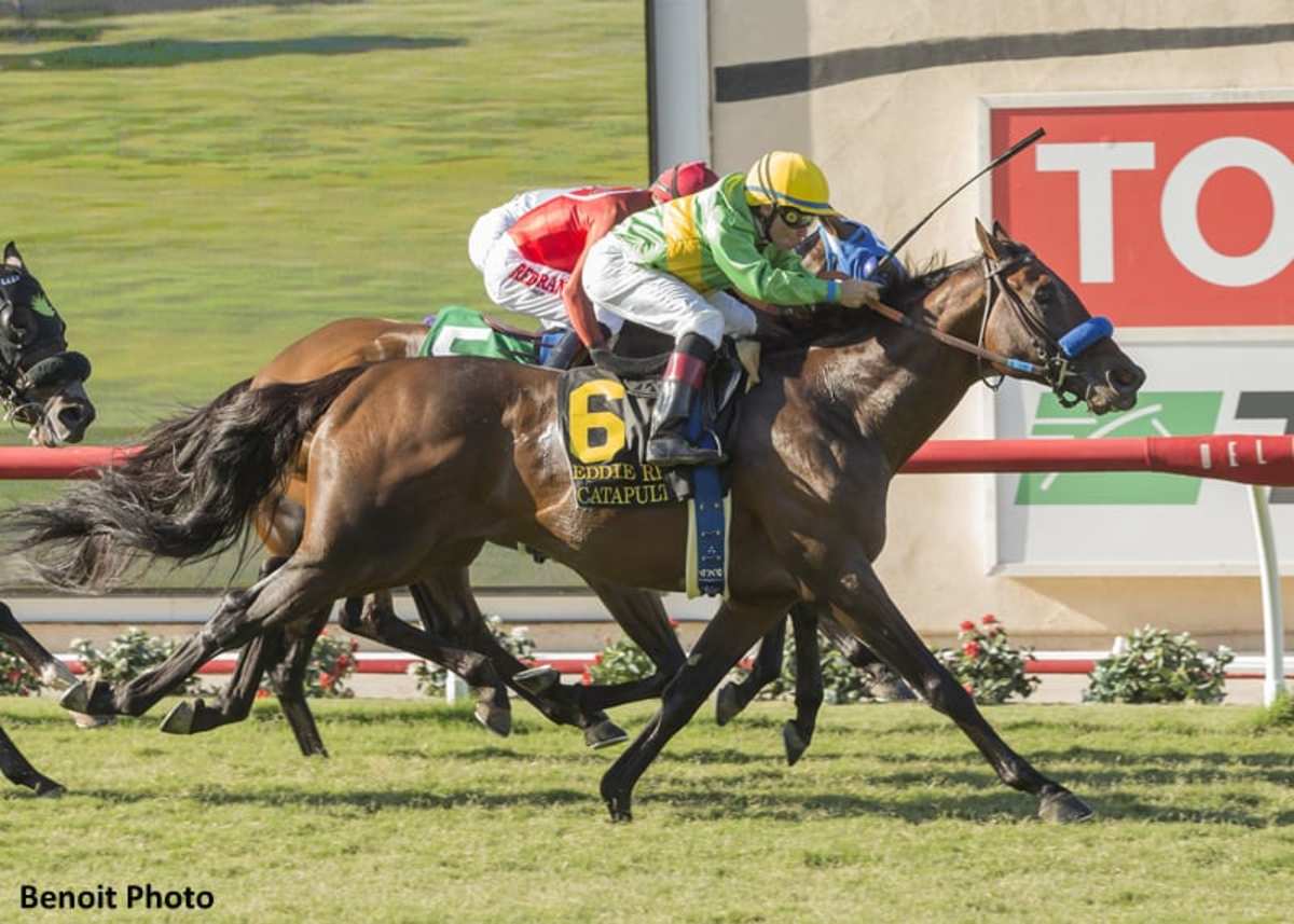 Catapult Flies Late To Upset Eddie Read Stakes - Paulick Report ...