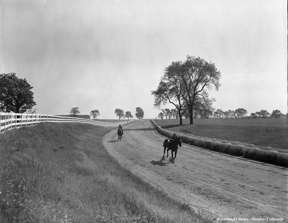 Kentucky Farm Time Capsule: Maine Chance Farm - Paulick Report | Latest ...
