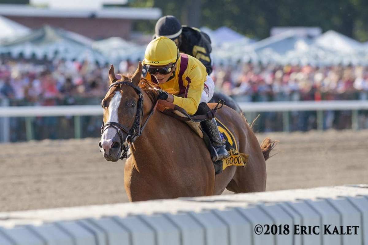 Bloodlines: Magic Elements Of Stride And Power In Curlin Offspring ...