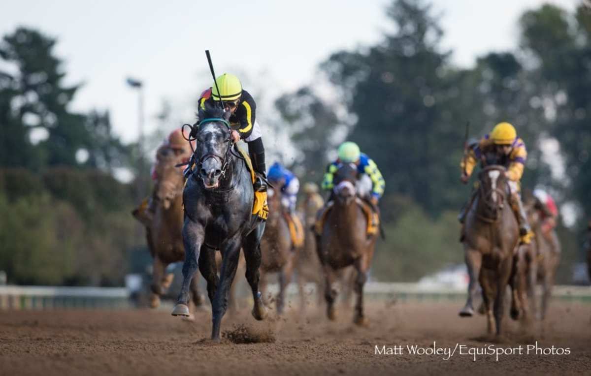 Longest Shot On The Board, Knicks Go Slam Dunks In Breeders' Futurity ...