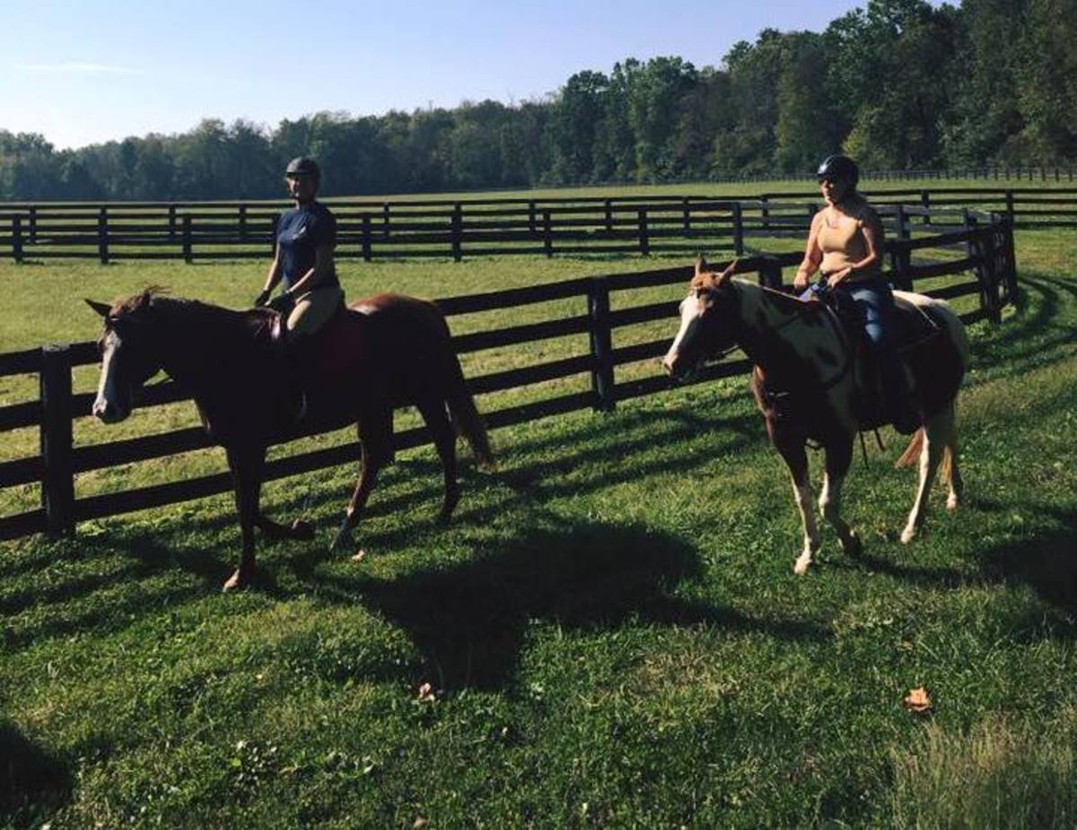 Cosequin Presents Aftercare Spotlight: A Kentucky 'Sanctuary' For ...