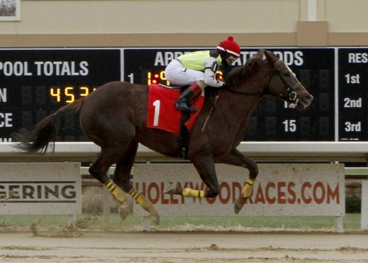 Leona's Reward Threepeats In Ohio's Bobbie Bricker Memorial - Paulick ...