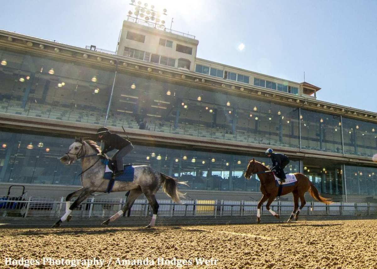 COVID-19: Louisiana Racing Commission Passes Emergency Order Guiding ...