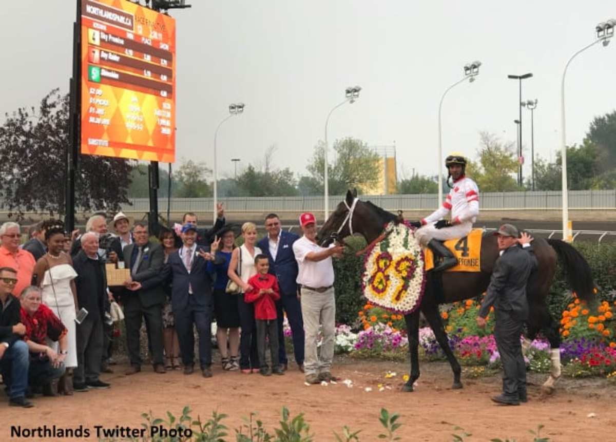Sky Promise Wins Final Running Of Canadian Derby At Northlands Park ...