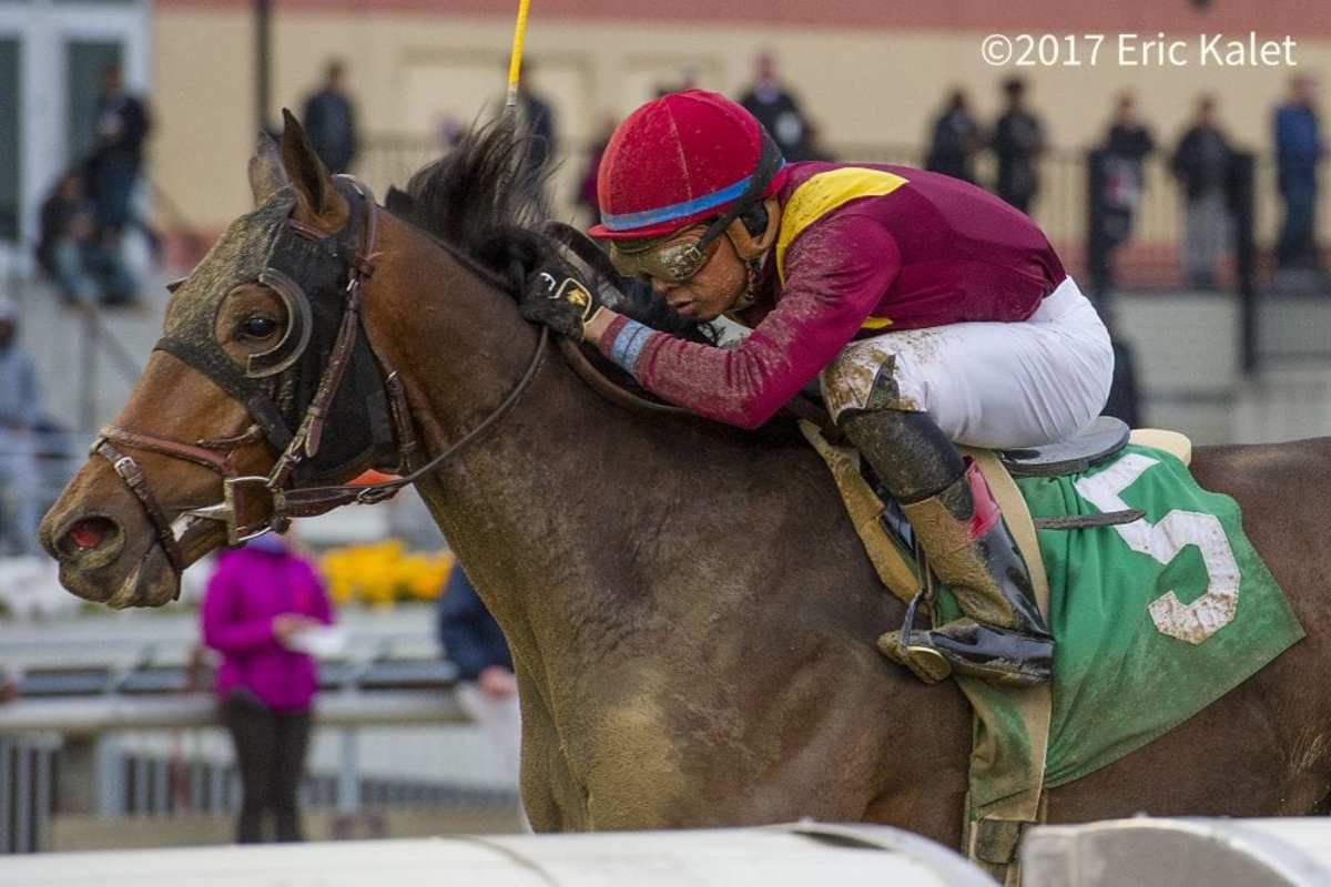 Thomas On Catholic Boy: 'You Just Hope You Progress' - Paulick Report ...