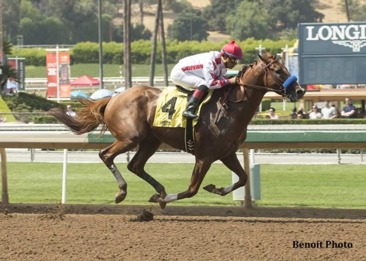 Collected y West Coast Muestran Su Excelente Condición Camino A La ...