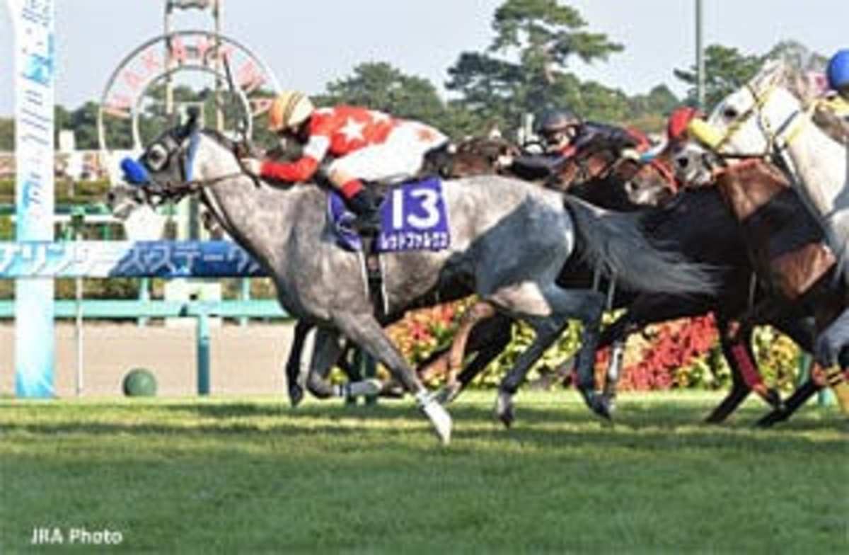 Win And You're In: Red Falx, Fine Needle Top Chances In Sunday's ...