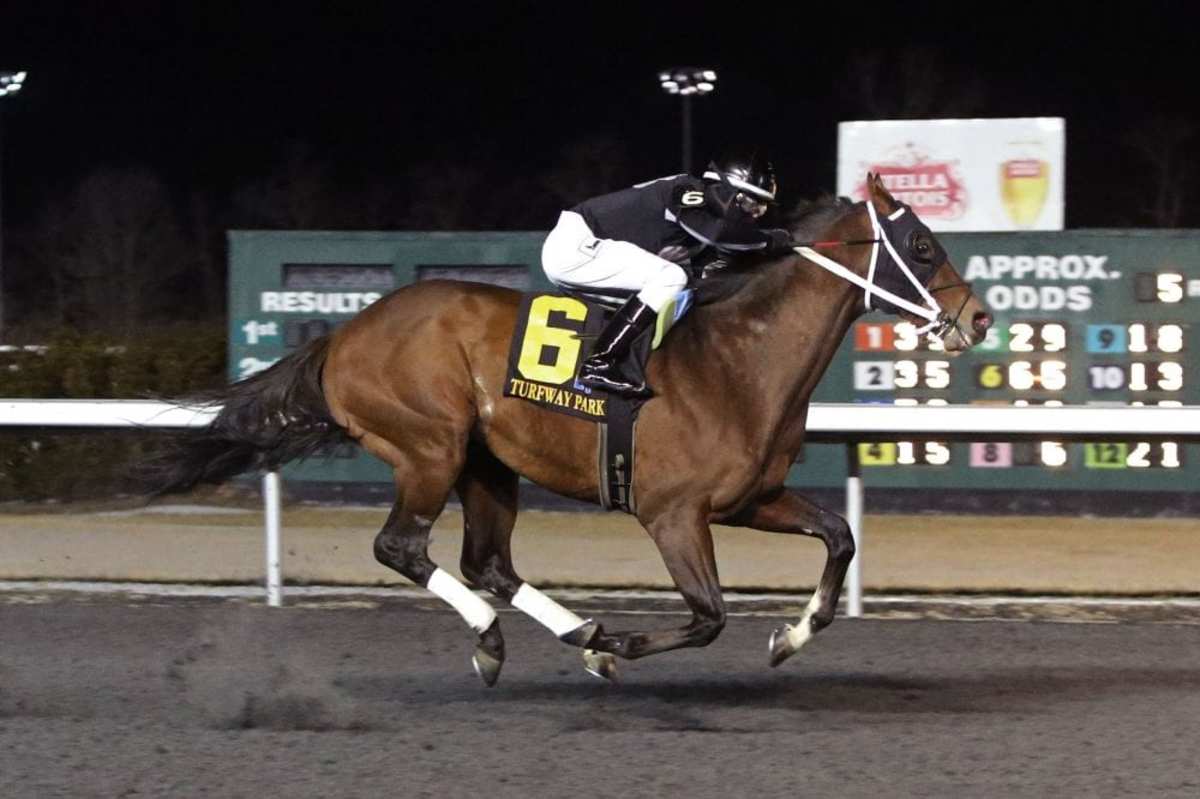 Wellabled Scores By Seven Lengths In Turfway's Forego - Paulick Report ...
