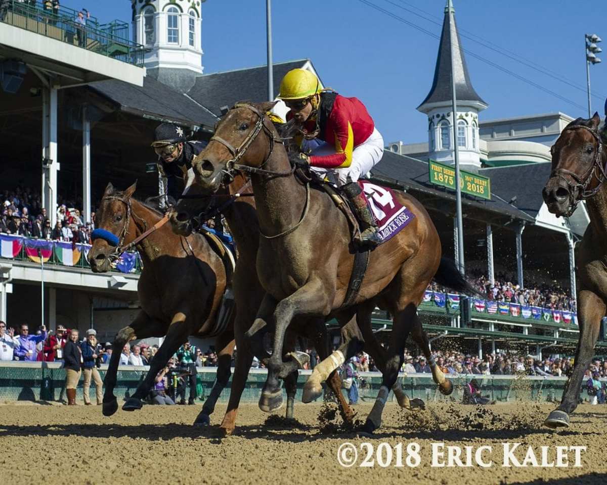 Meet The Mares Of Flightline's Inaugural Book At Stud - Paulick Report ...