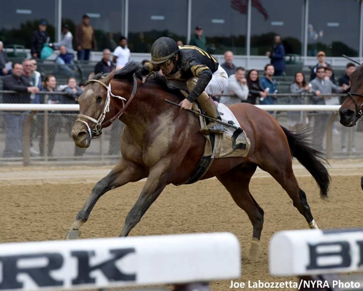 Patch, Outplay Looking To Rebound In Sunday's Alydar - Paulick Report ...