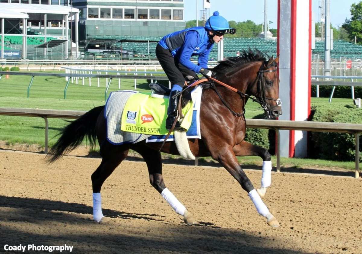 Thunder Snow Headlines Al Maktoum Challenge-R1 As Dubai World Cup ...