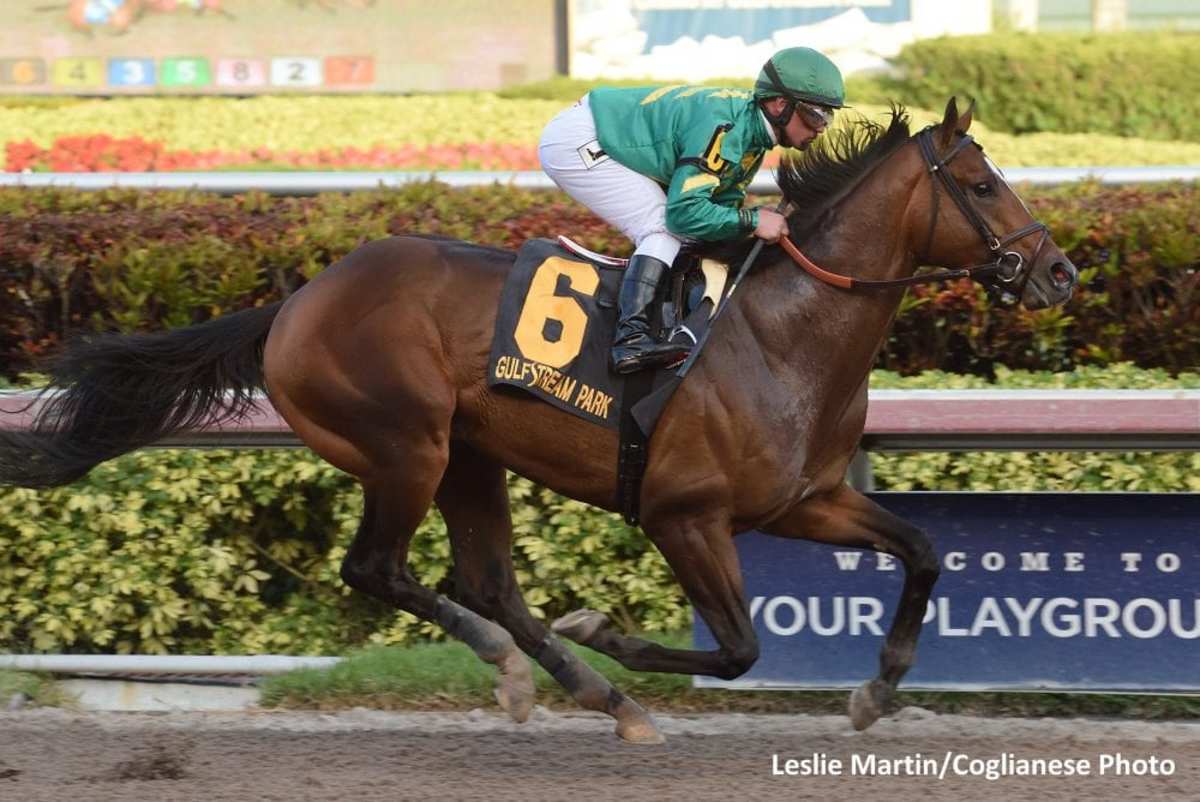 Mask Emerges As Triple Crown Candidate In Mucho Macho Man Victory ...