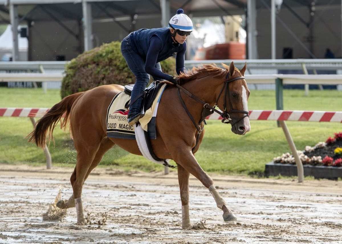 Good Magic Continues Haskell Preparations; Gronkowski Still Not Ready ...