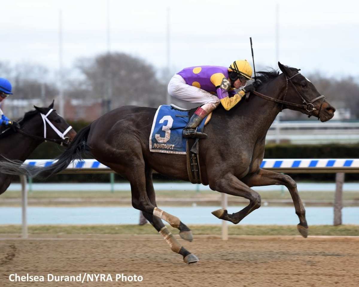 Midnight Disguise Earns Oaks Points With Busher Victory - Paulick ...