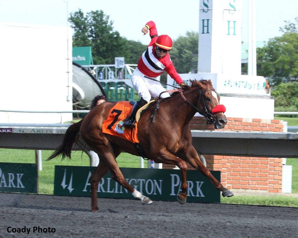 Hotshot Anna Sets New Track Record In Chicago Handicap - Paulick Report ...