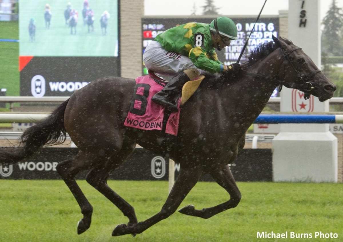 'Sweetheart' My Gal Betty Ought To Relish Soft Ground In Juvenile ...