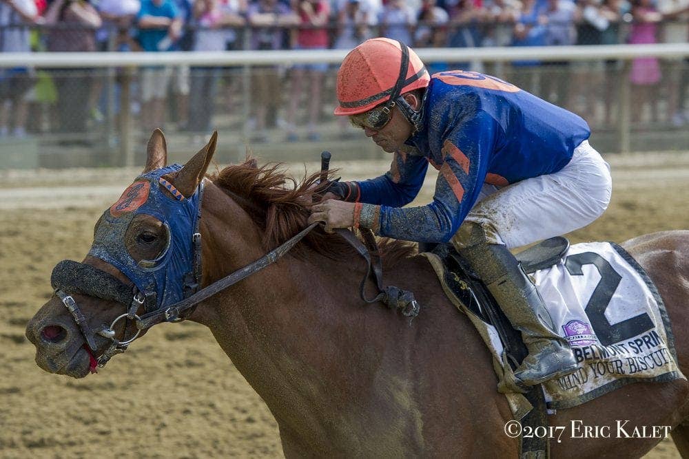 Trio Of Legendary New York-Breds To Be Honored At Saratoga Race Course ...