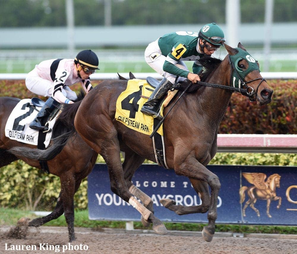 Rags-To-Riches: Former Claimer Martini Glass Aims For Azeri Stakes At ...