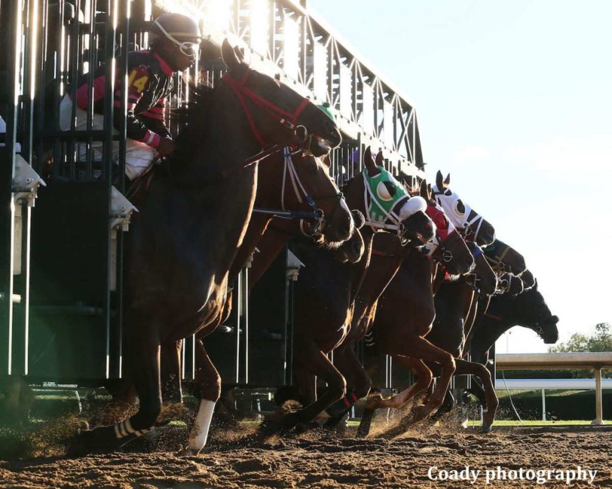 'At Long Last Rounding The Final Turn': Horseracing Integrity And ...