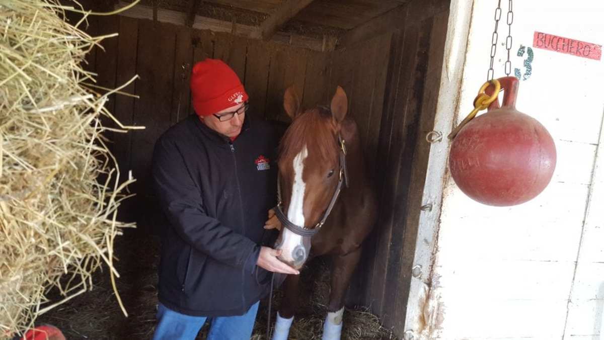 Tim Glyshaw To Saddle Final Horse Saturday At Turfway Park - Paulick ...