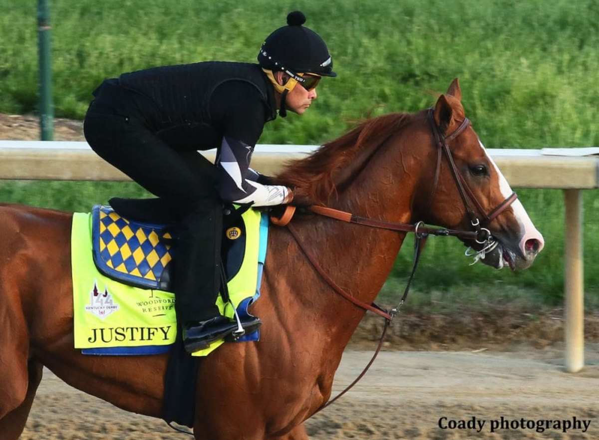 'A Good Bounce In His Step': Justify Continues Preakness Preparations ...