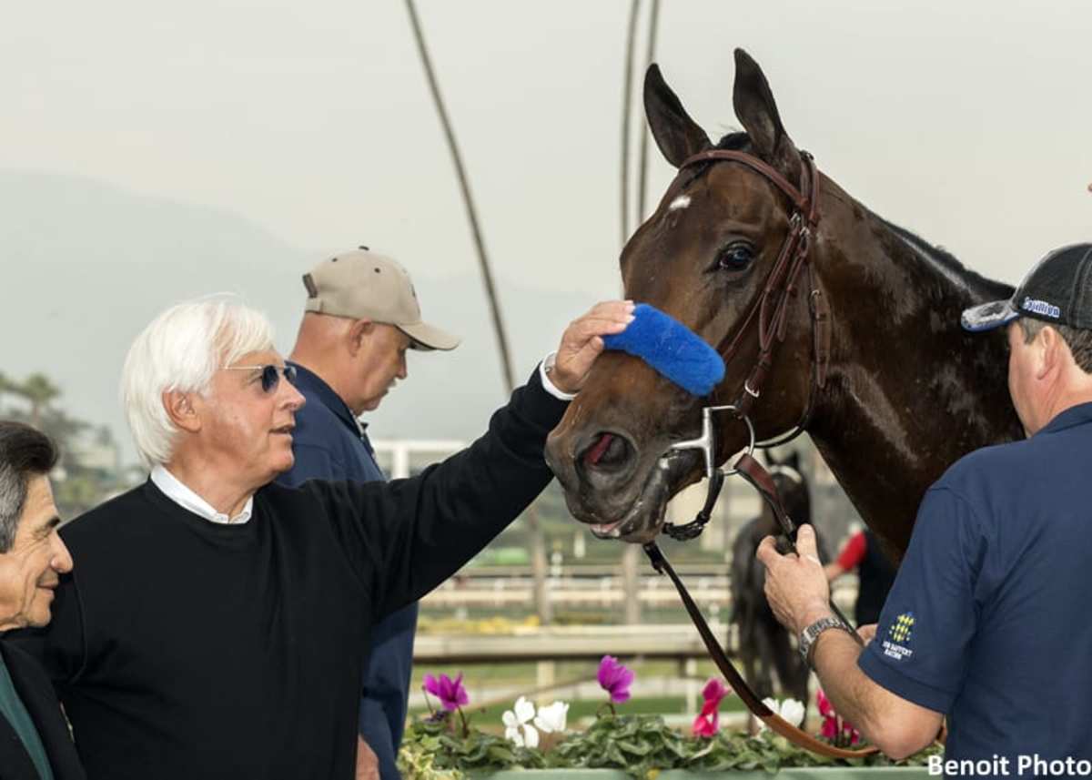 Baffert On McKinzie: 'We're All Living Through This Horse, Thinking ...