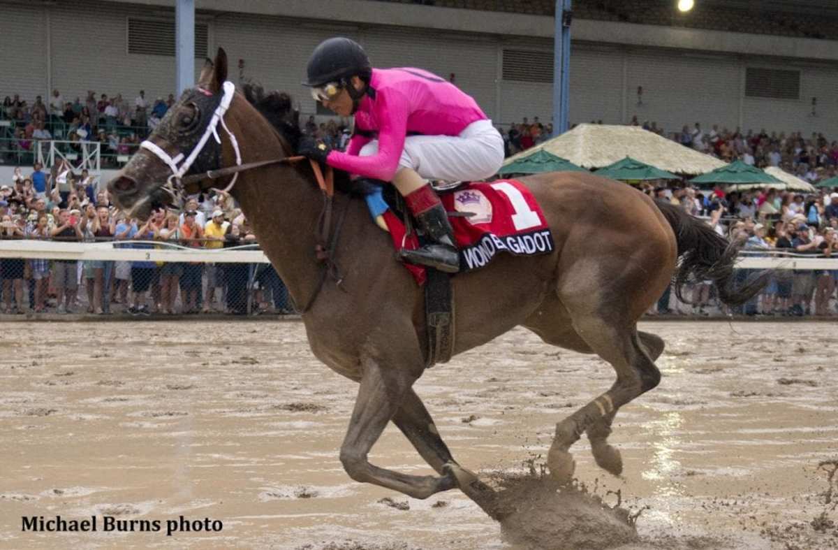 'Why Not Go For It?': Wonder Gadot To Skip Bid For Canadian Triple ...