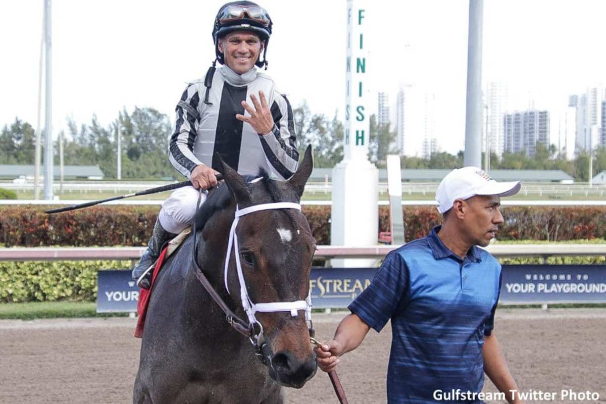 Favored Ivy Bell Clears In Inside Information - Paulick Report | Latest ...