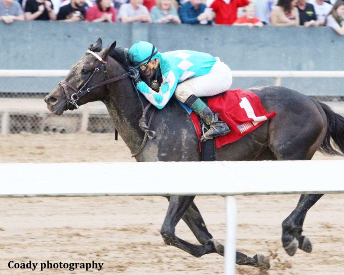 Triple Crown News Minute Presented By Equine Equipment: Last Call ...