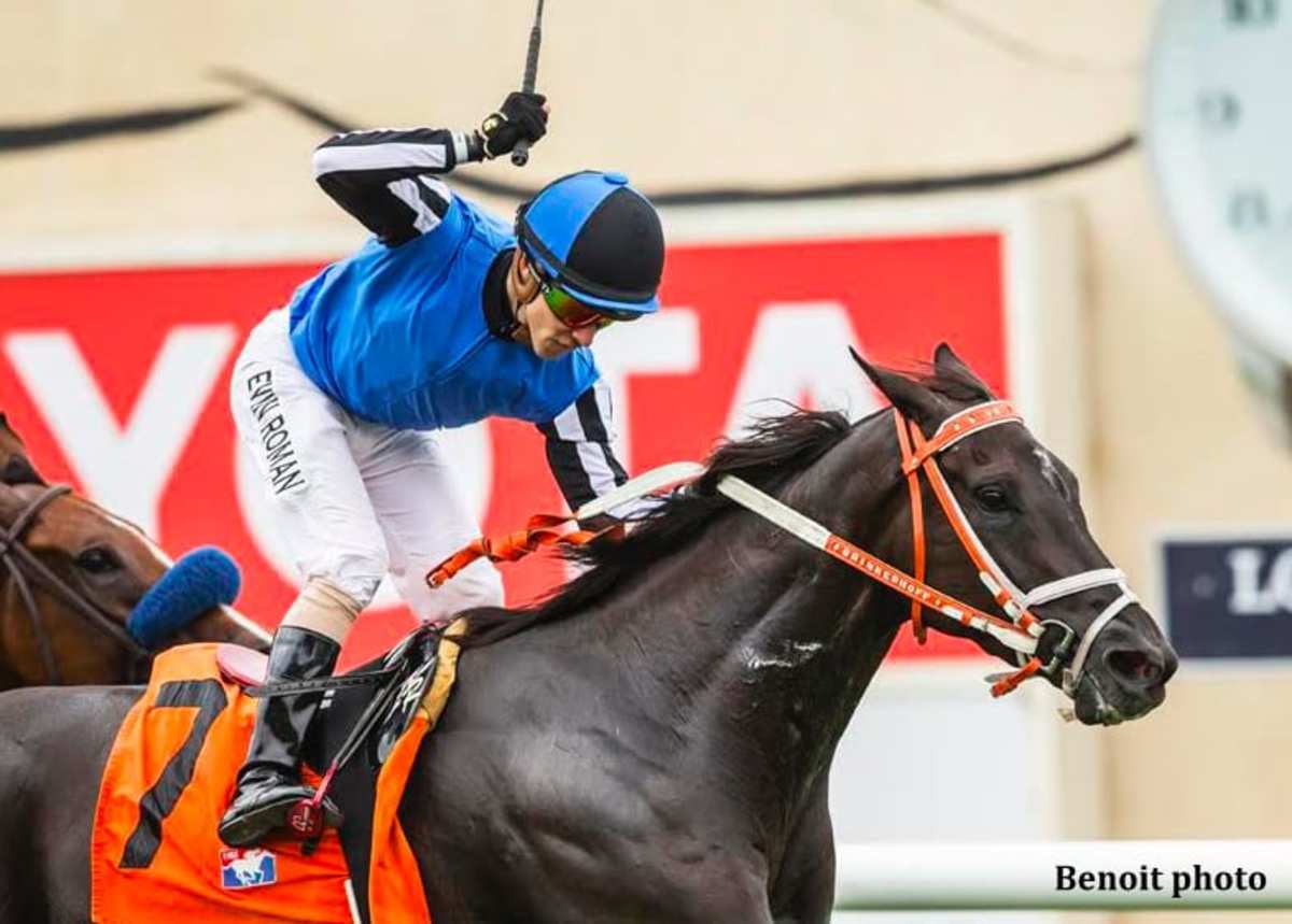 Restrainedvengence Wins Oceanside Before Del Mar Opening-Day Crowd Of ...