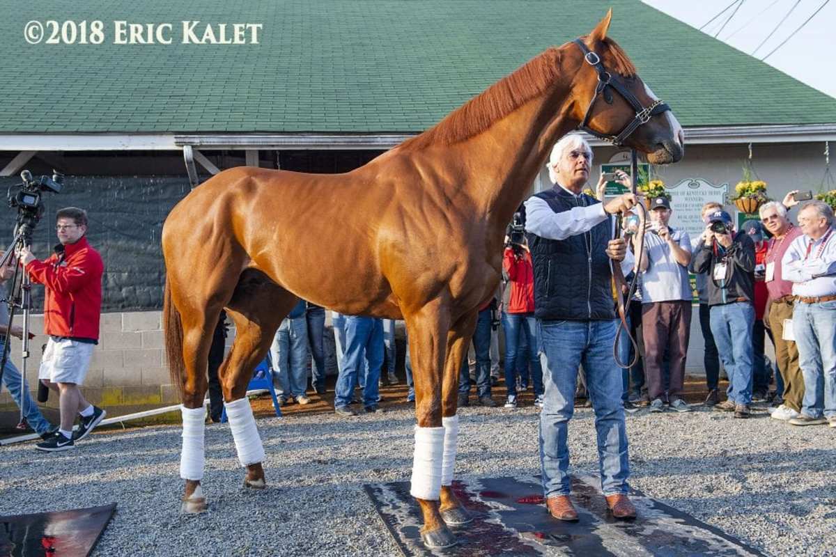 Justify: 'Minor' Skin Irritation On Left Hind Pastern Won't Interfere ...