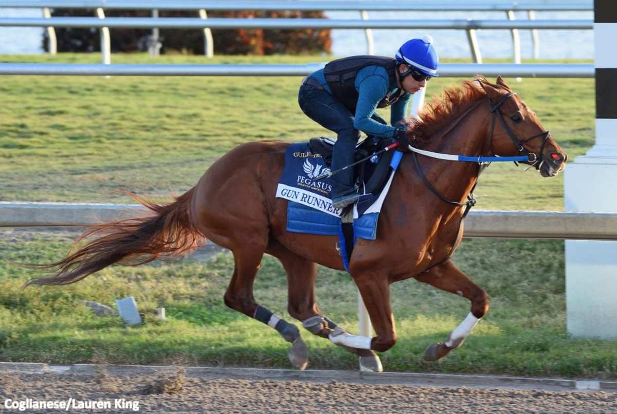 Gun Runner 'Ready For Saturday', Works Half-Mile Ahead Of Pegasus World ...