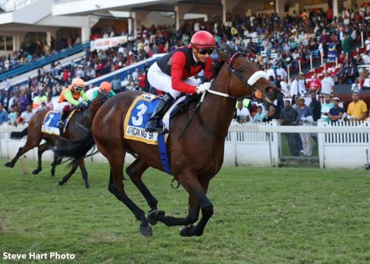 South Africa: Powerhouse Trainers Snaith, Tarry Battle In Durban July ...