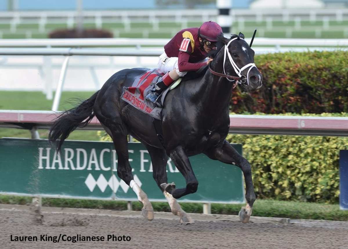 Copper Bullet, Coal Front Stretching Out In Crowded Field For Razorback ...