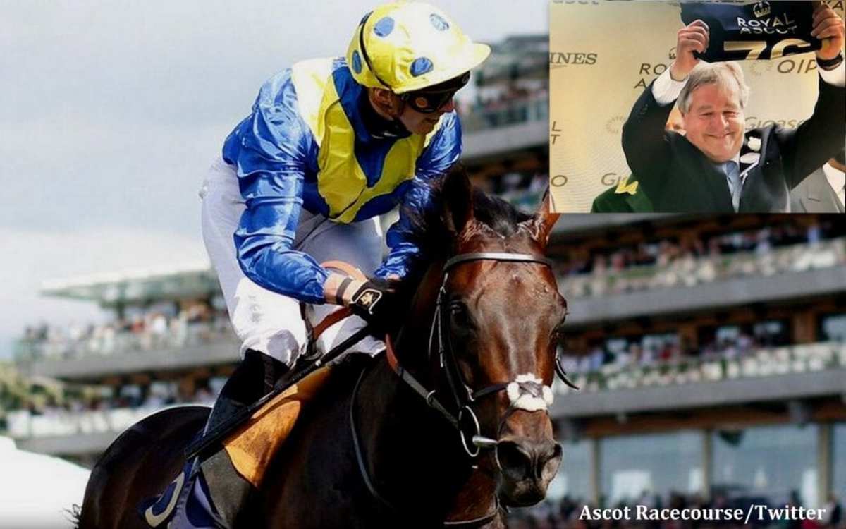 Four Grade 1's Add Up To Blockbuster Breeders' Cup Challenge Weekend ...