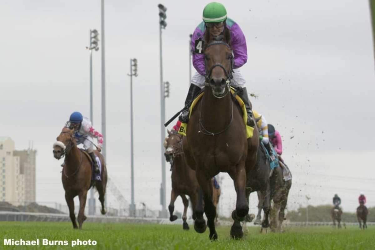 Josie Carroll Becomes First Female Trainer Inducted Into Canadian Horse ...