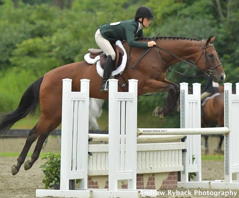 Cosequin Presents Aftercare Spotlight: A 'Trippi' Of A Lifetime ...