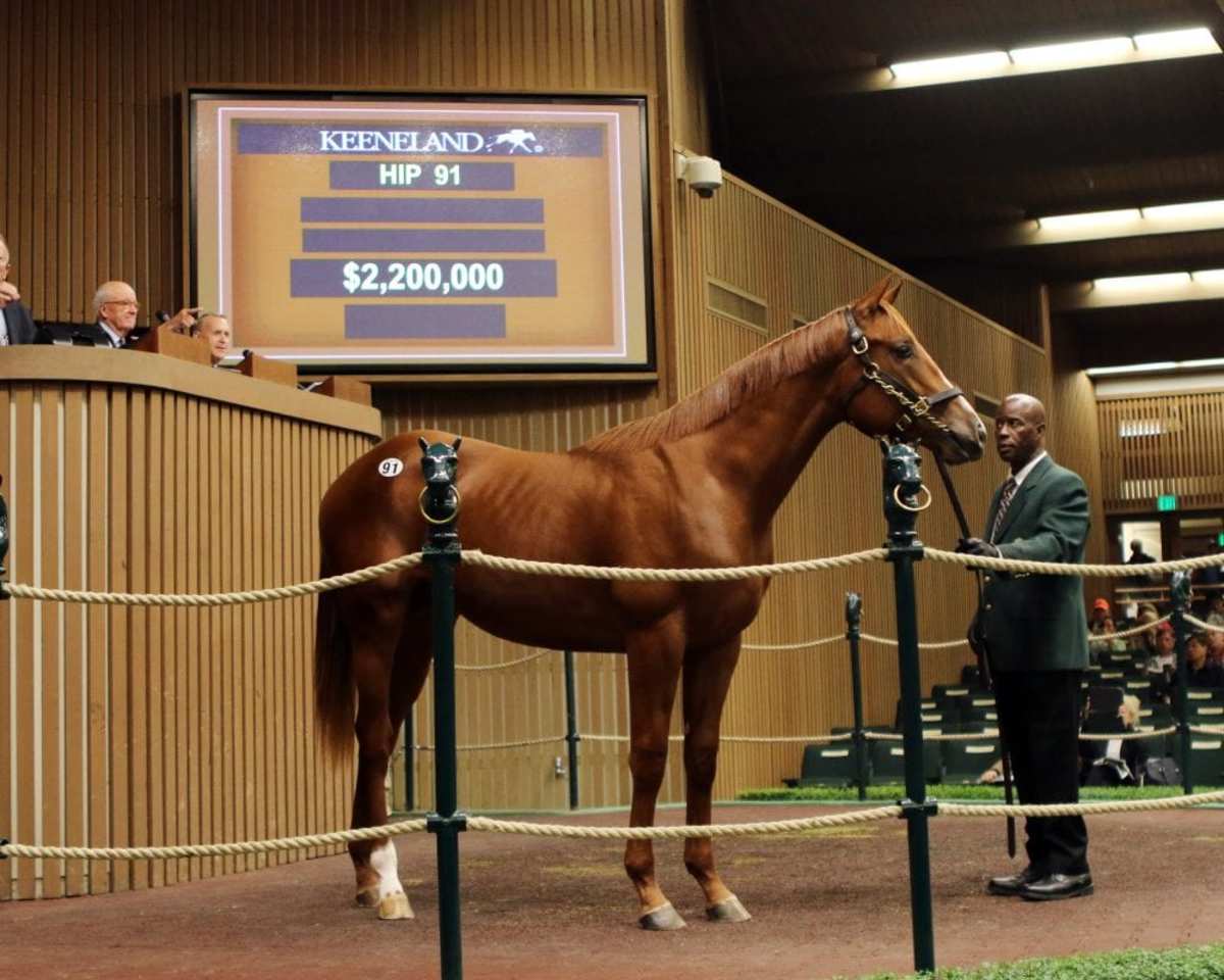 Sheikh Mohammed's Appearance Drives Opening Day Trade At Keeneland ...