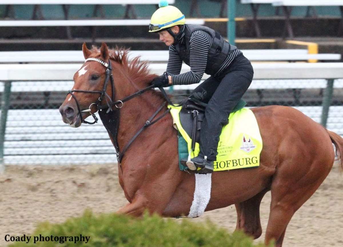 Hofburg, Western Invader Prime Attraction Top G2 Fayette Field On ...