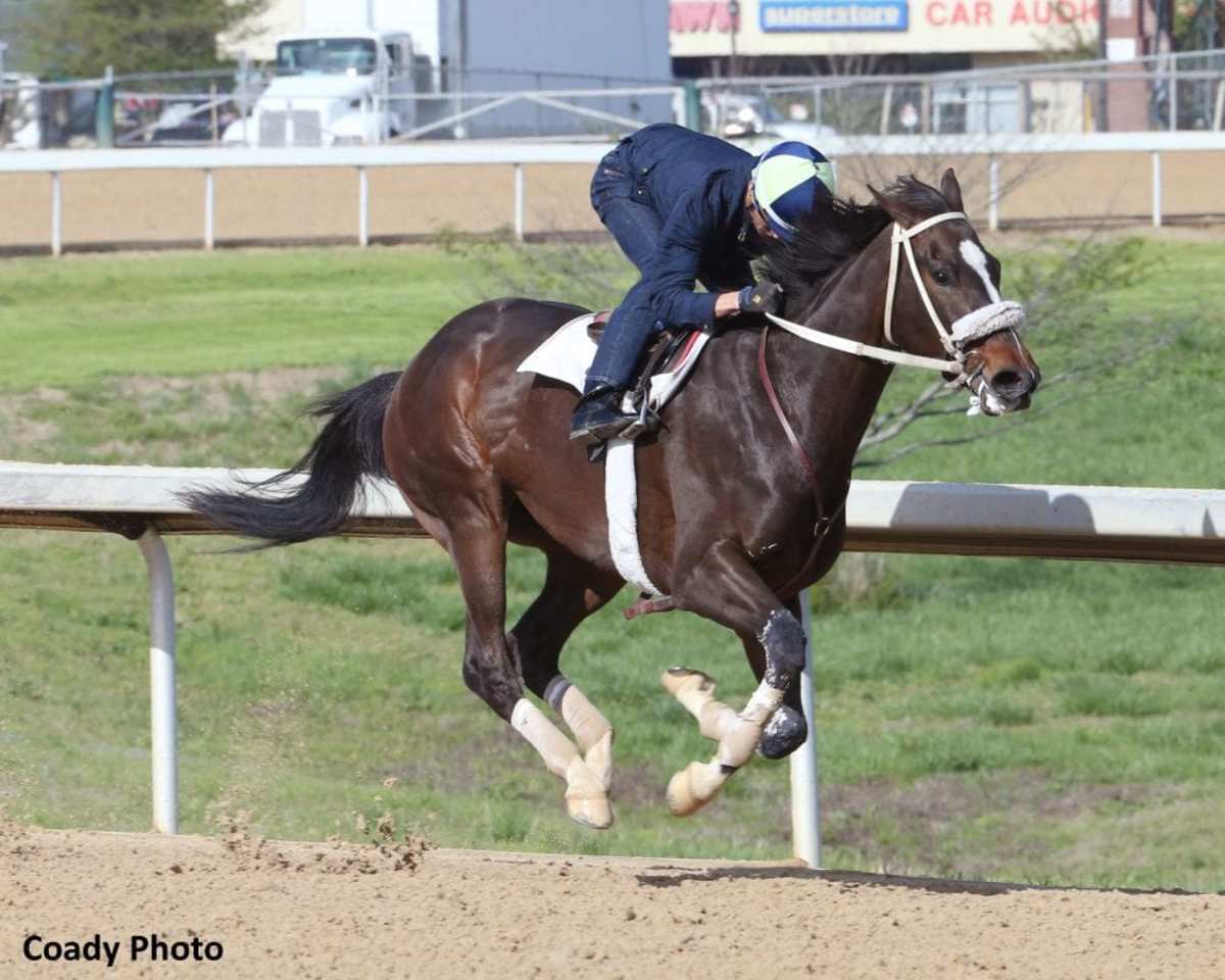 Likely Fantasy Favorite Amy's Challenge Fires Bullet At Oaklawn ...
