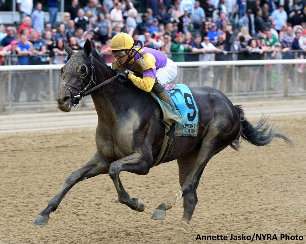 Trio Of Stakes Wins Net Jose Ortiz Jockey Of The Week Title - Paulick ...