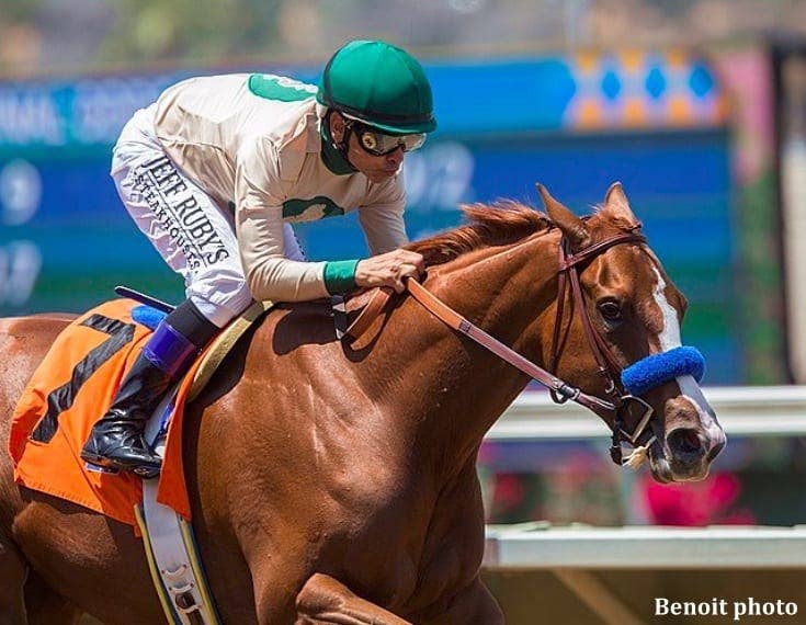 American Pharoah's Half Sister Chasing Yesterday Faces 11 In Spinaway ...