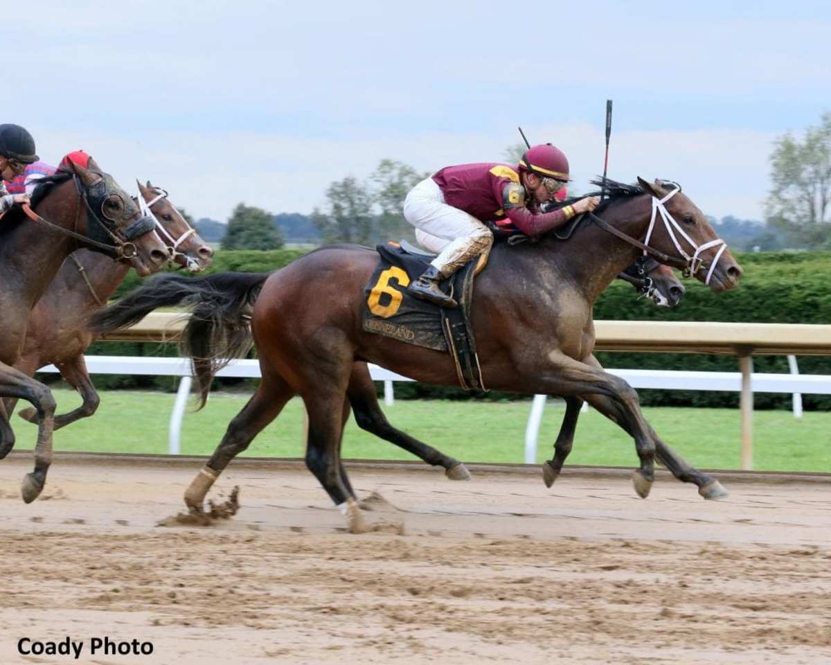 So Alive: 'Unbelievable' Debut Win At Keeneland For Half To Vino Rosso ...