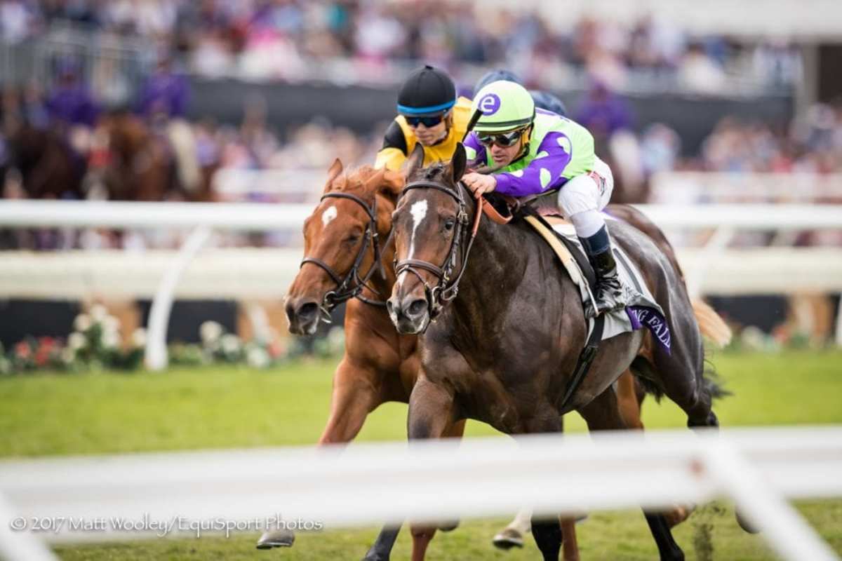Breeders' Cup Winner Rushing Fall Taken Out Of Consideration For Royal ...