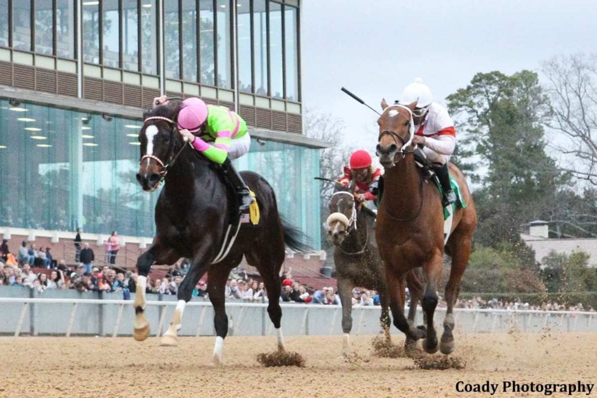 Next Start Plans Undetermined For Undefeated Amy's Challenge - Paulick ...