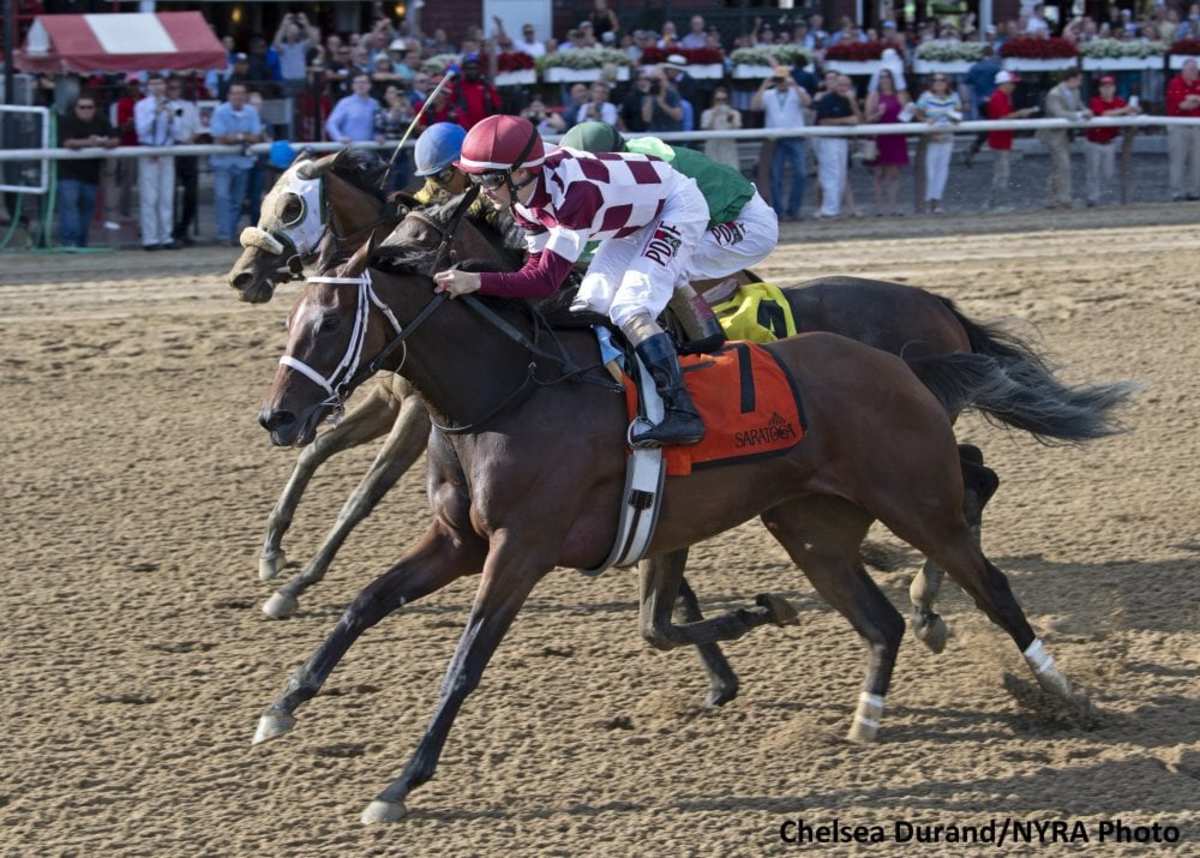 Farrell Wires Shuvee To Earn Millionaire Status - Paulick Report ...