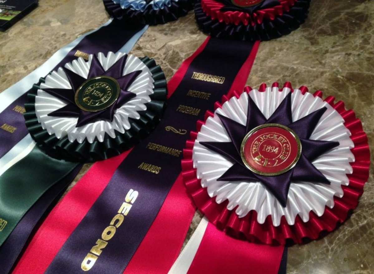 Applications Now Being Taken For 2020 Thoroughbred Incentive Program ...