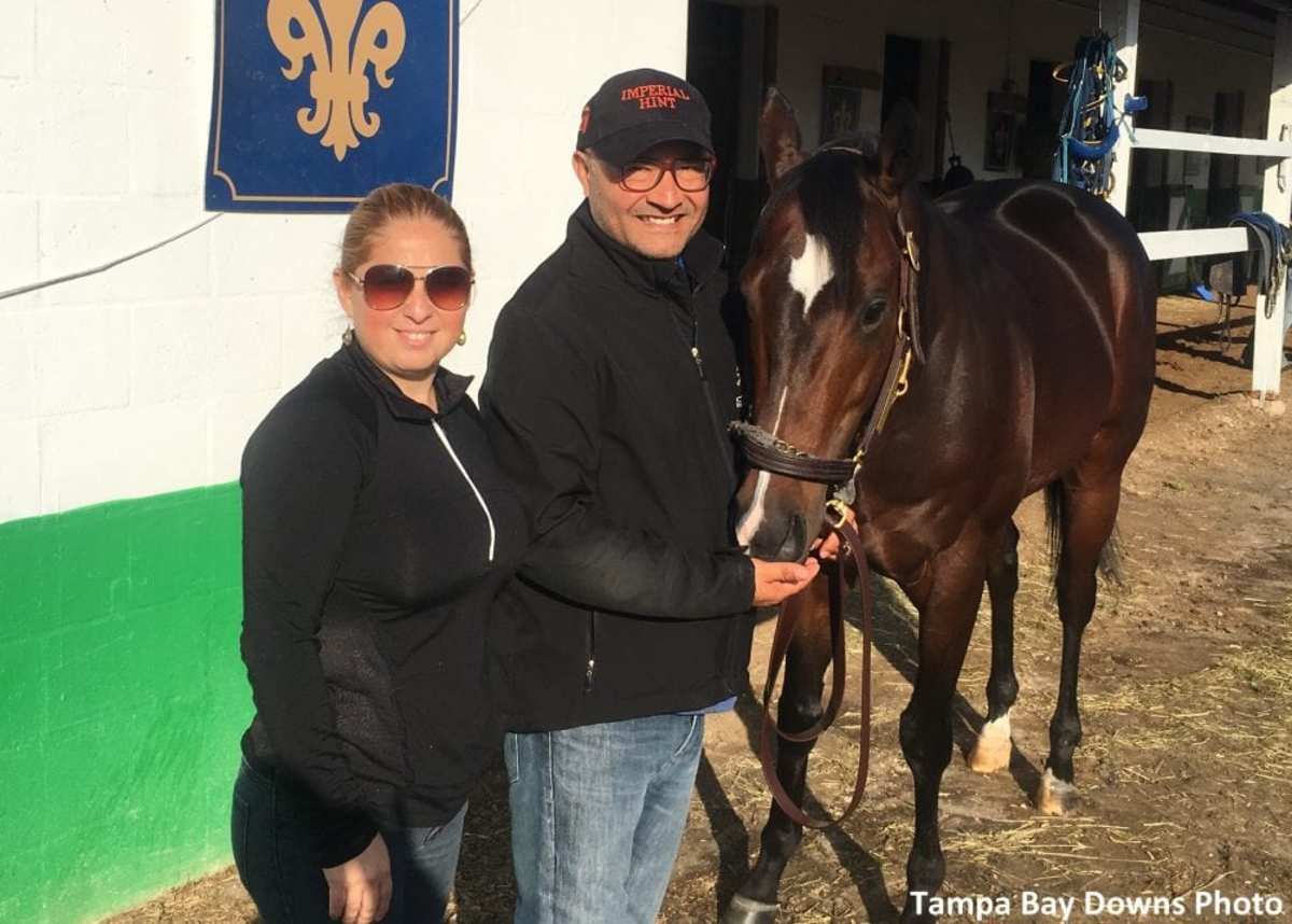 Imperial Hint 'Full Of Run,' To Use Tampa Stakes As Prep For Dubai ...