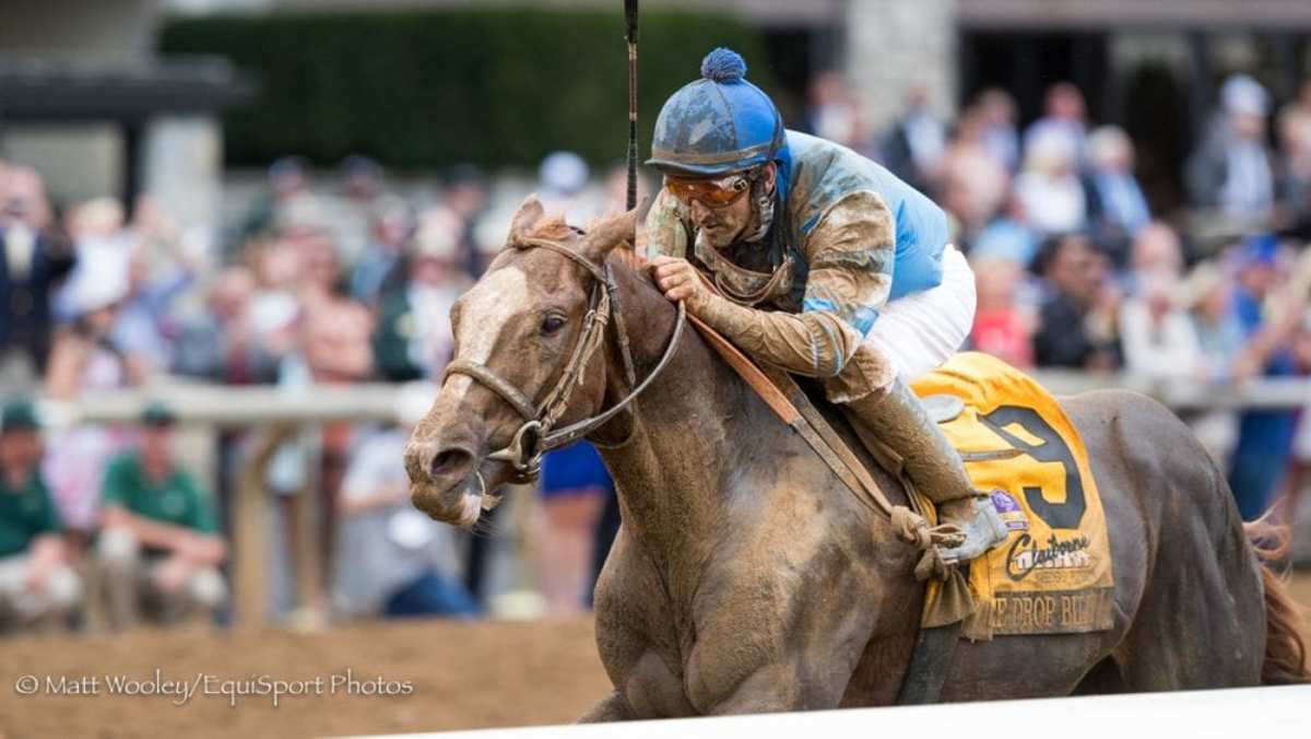 Free Drop Billy Retired To Spendthrift Farm For 2019 Breeding Season ...