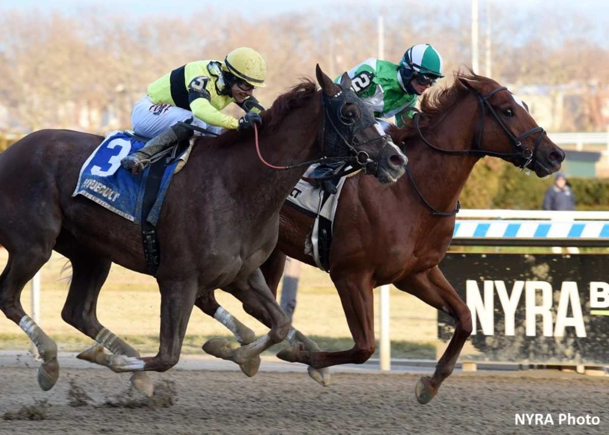 Mr. Buff Out-Muscles Twisted Tom In Alex M. Robb - Paulick Report ...